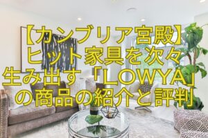 【カンブリア宮殿】ヒット家具を次々生み出す「LOWYA」の商品の紹介と評判 | おもしろがる！