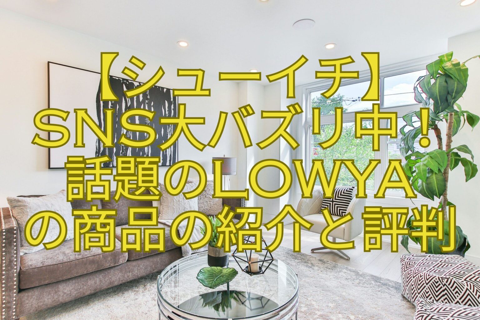 【シューイチ】SNS大バズリ中！話題のLOWYAの商品の紹介と評判 | おもしろがる！