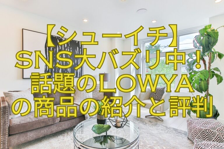 【シューイチ】SNS大バズリ中！話題のLOWYAの商品の紹介と評判 | おもしろがる！