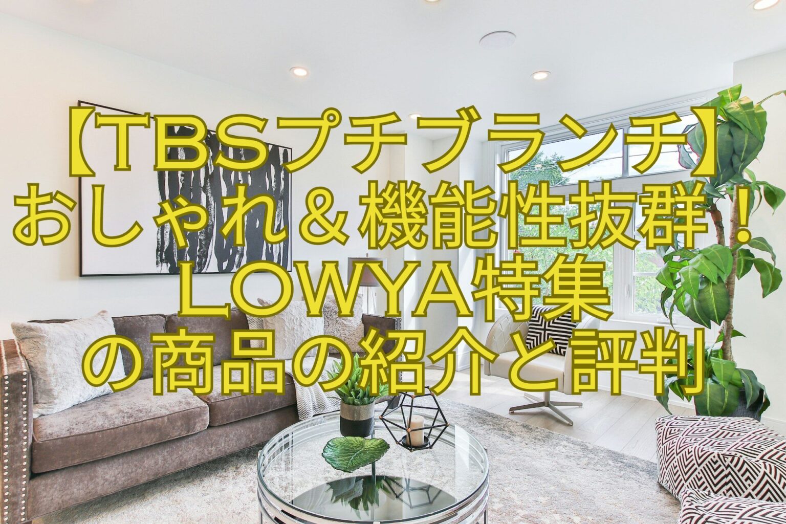 【TBSプチブランチ】おしゃれ＆機能性抜群！LOWYA特集の商品の紹介と評判 | おもしろがる！
